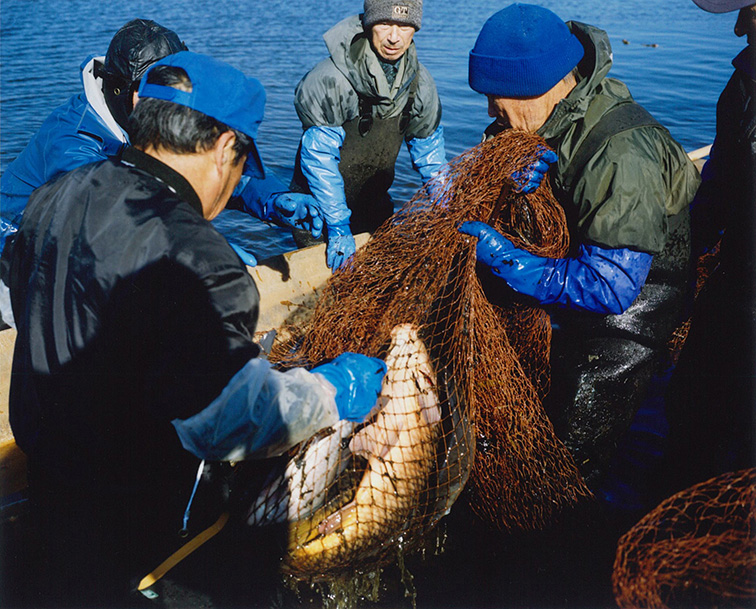 KATA and SATOYAMA | NAOKI ISHIKAWA